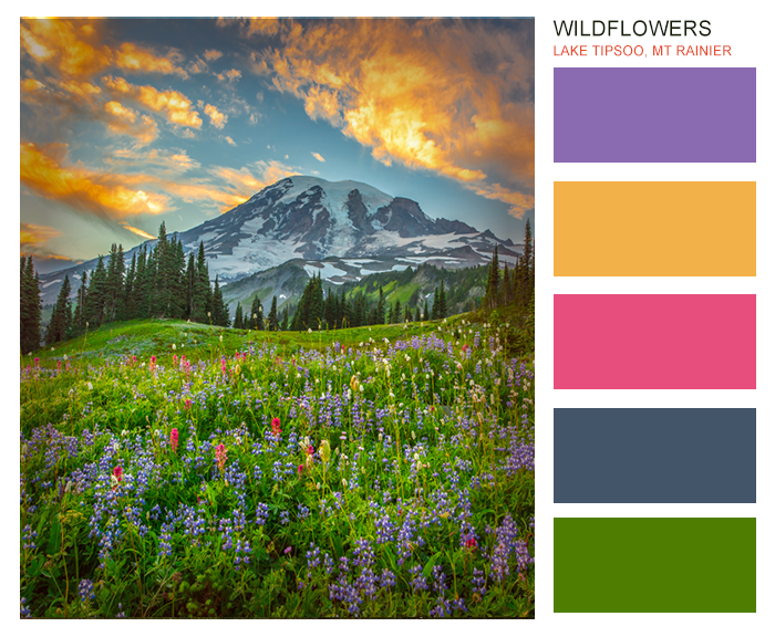 5 Corporate Brand Color Palettes Inspired by the Pacific Northwest