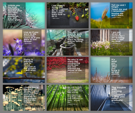12 Quotes on Professional Growth Inspire Employee Development Programs ...